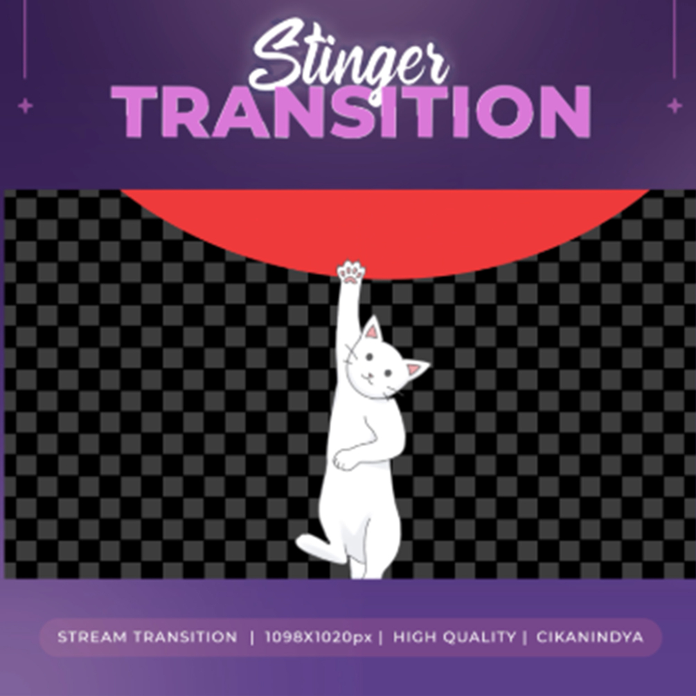 Minimalist Cat Hanging Stinger Transition | Clean Animated Overlay for ...