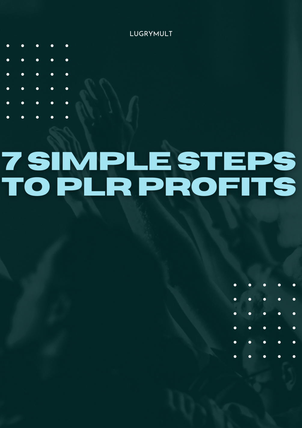 7 Simple Steps to PLR Profits