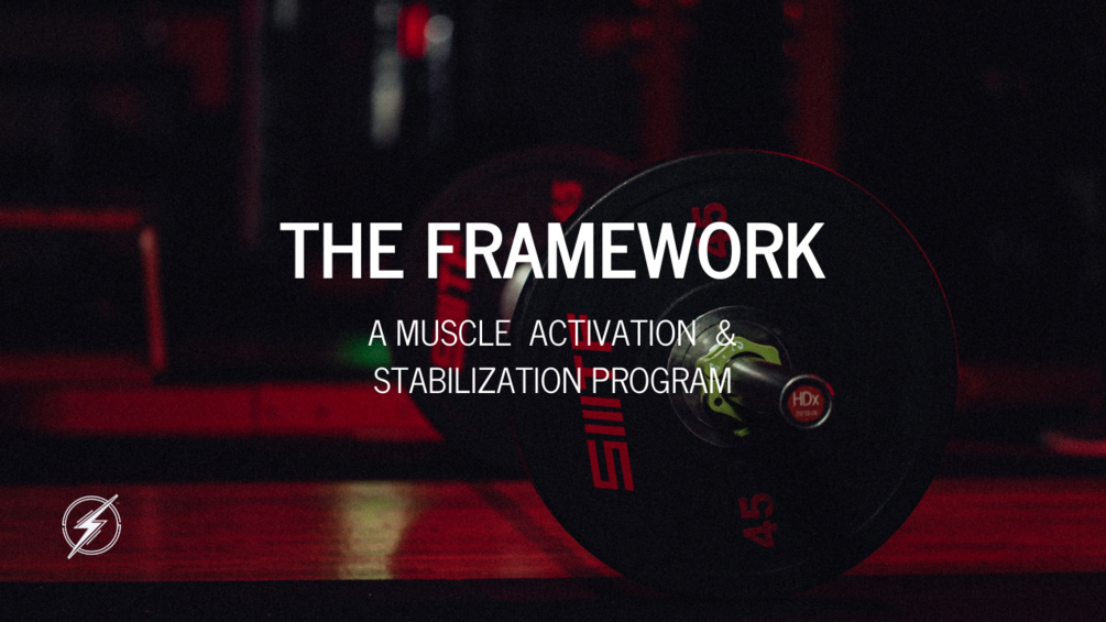 The Framework: Muscle Activation & Stabilization