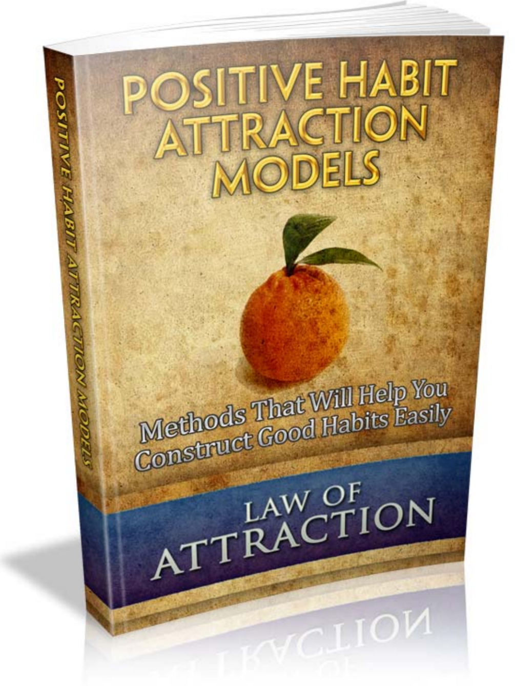 Positive Habit Attraction Models