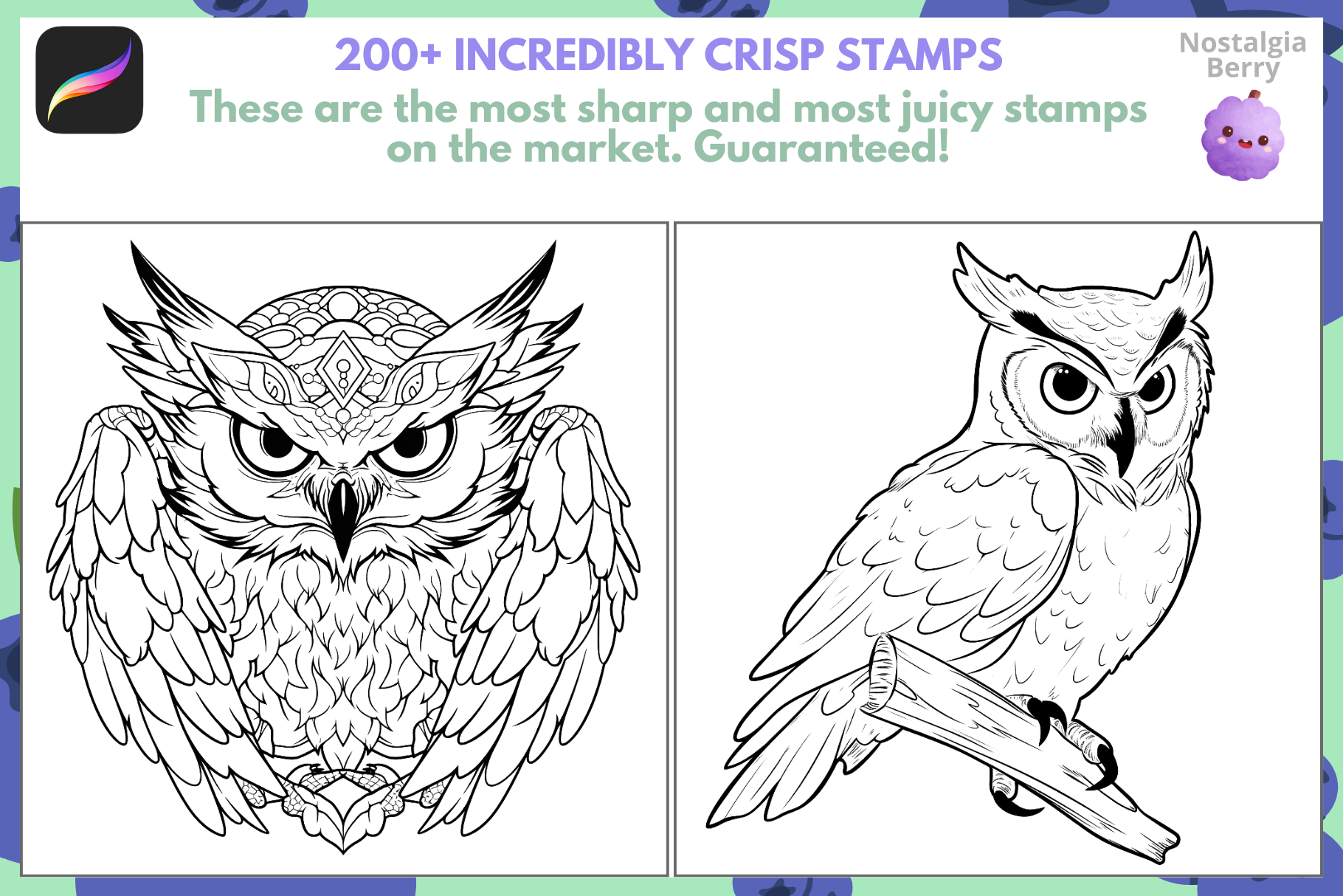 Procreate Stamps: 200+ Owl Stamps for Illustrations, Fantasy Art ...