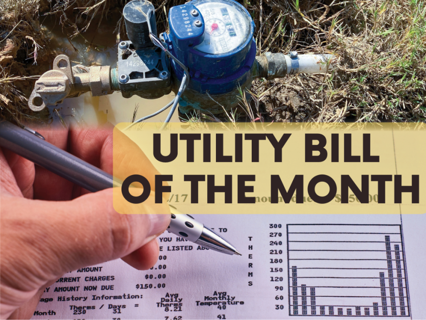 How to Read Your Water Bill and Detect Leaks