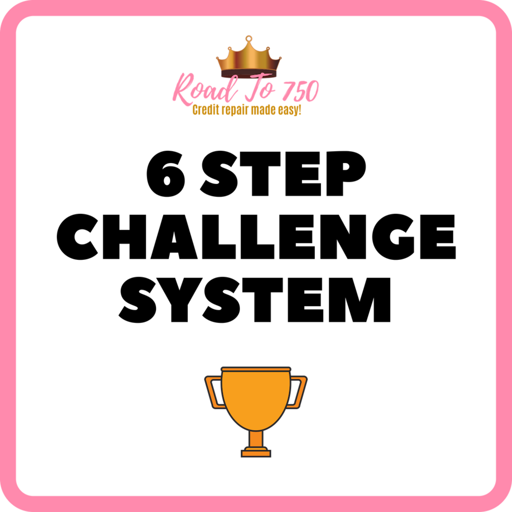 6 Step Challenge System