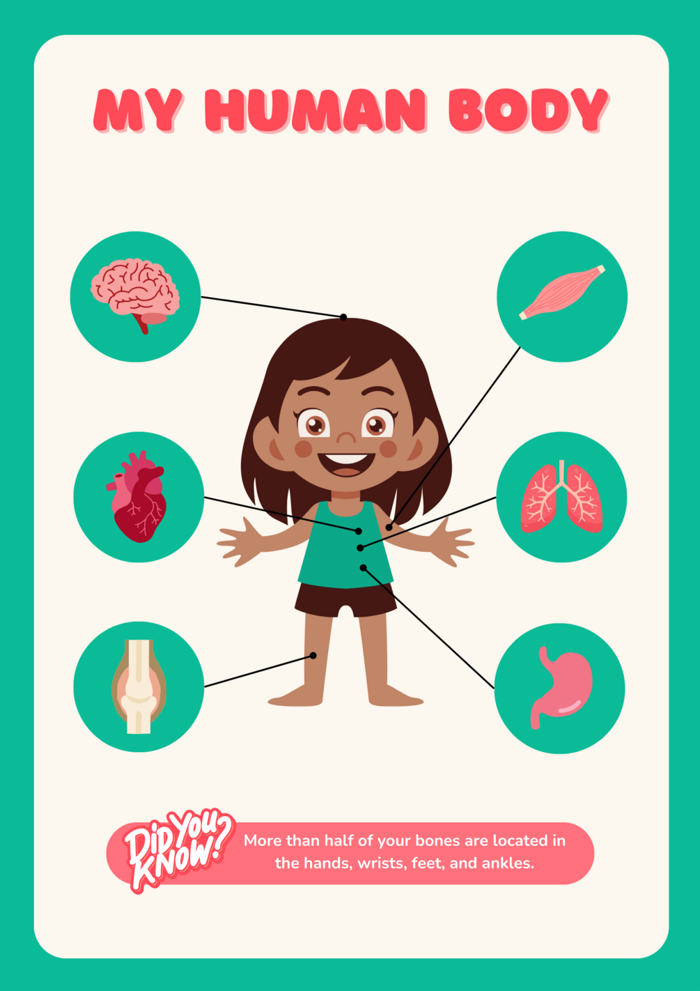 Educationel Human Organs Poster
