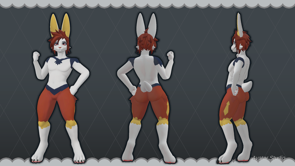 Cinderace Texture(Usagi by RPGSlayers)