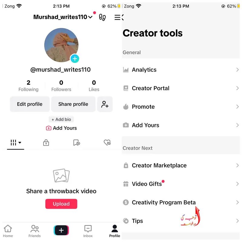 #PROMO 2 Tik tok Beta Accounts Verified by 100k views and 10k Followers ...