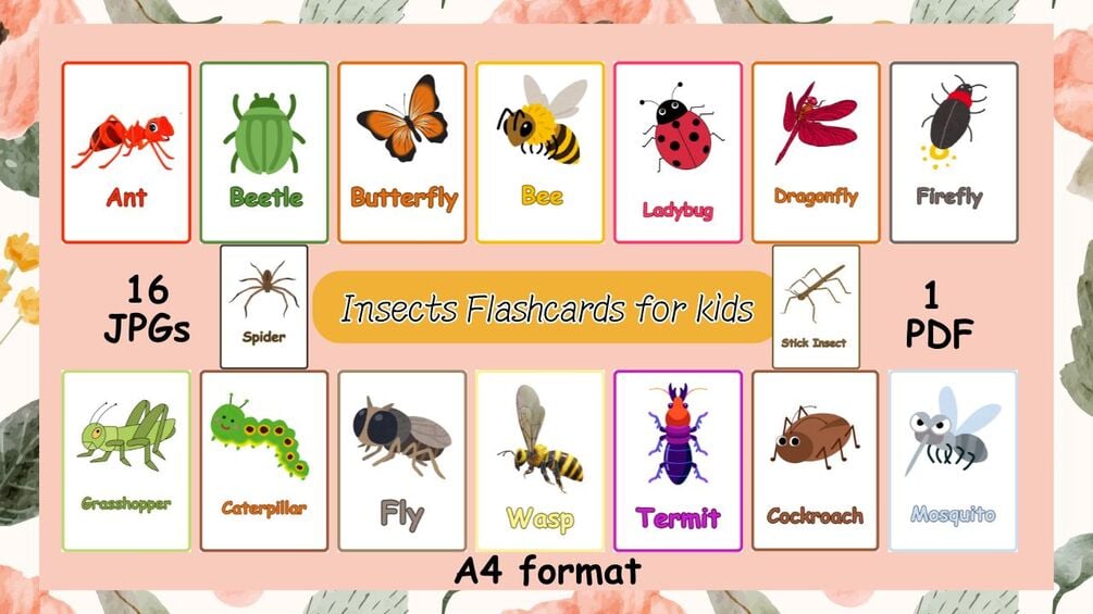Insects Flashcards for kids, 16 instant download pages, cards ...