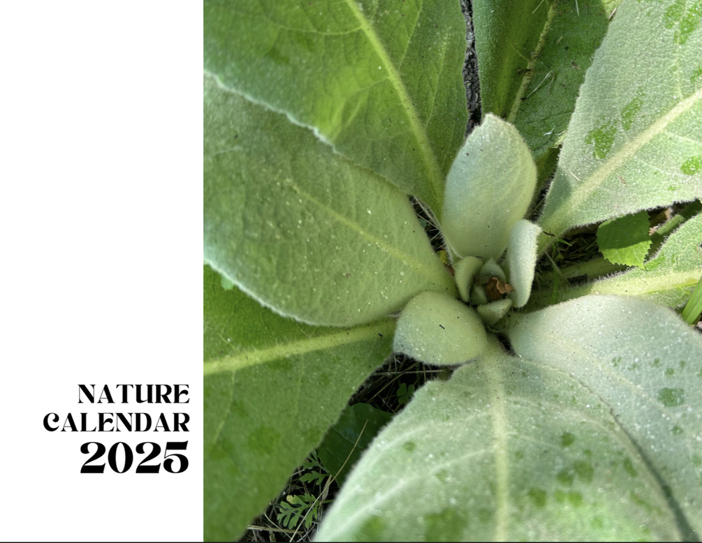 2025 Nature Calendar