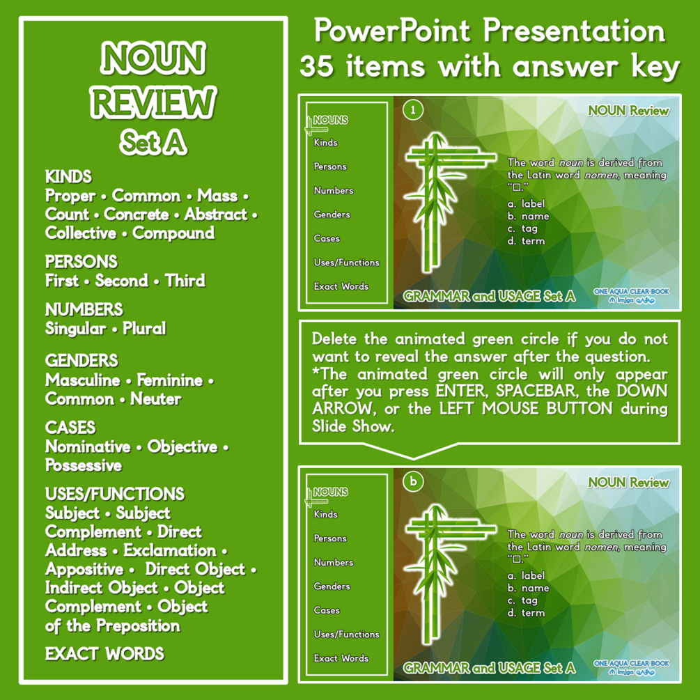 Noun Review (Set A) PowerPoint Presentation