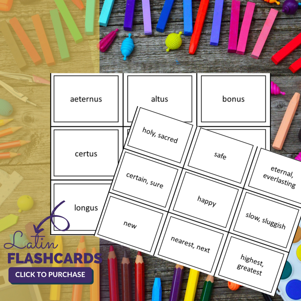 Latin Flashcards Game Set