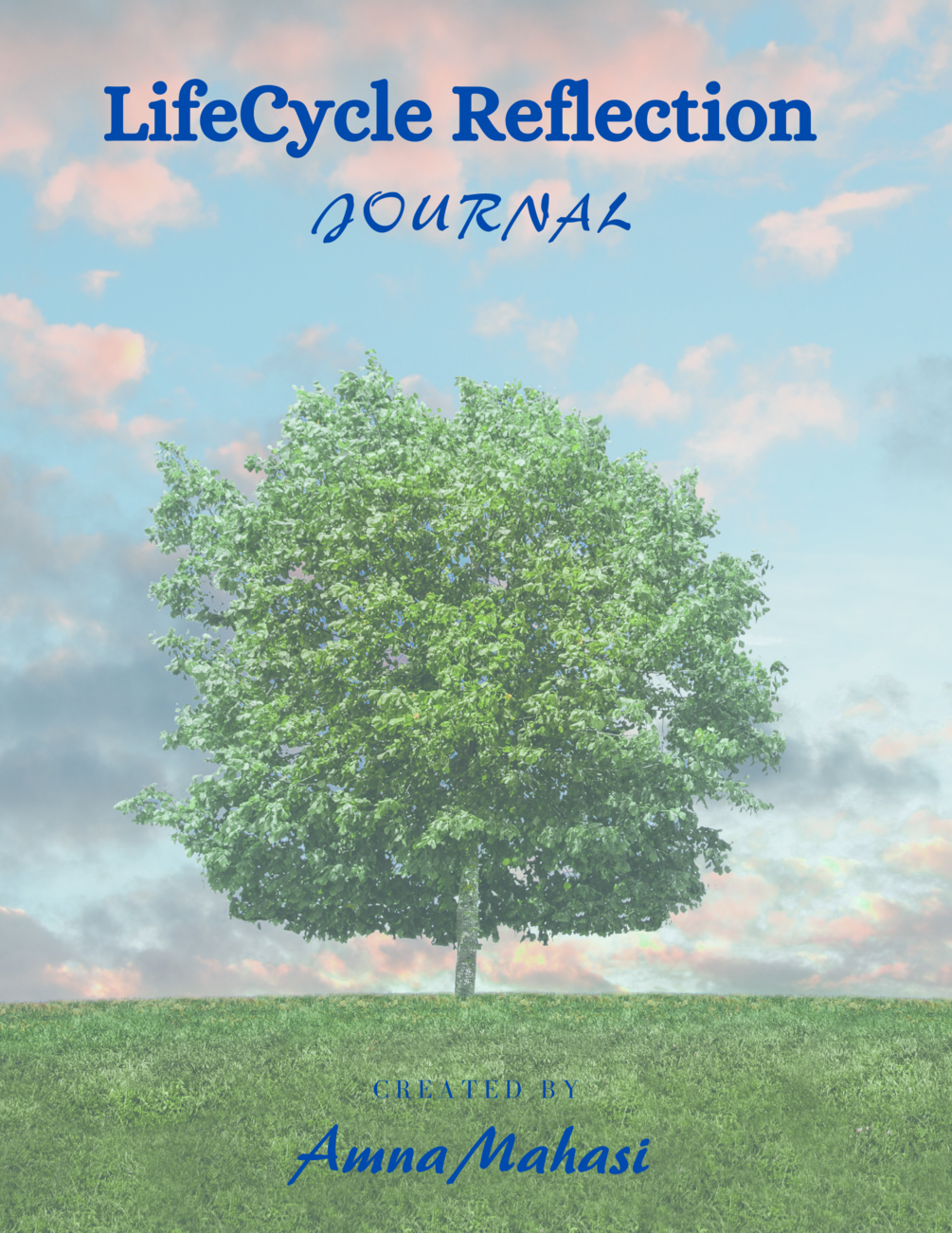 LifeCycle reflection Journal