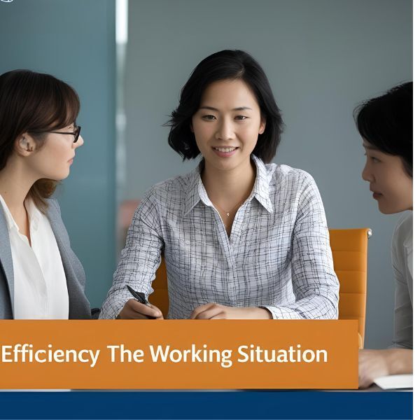Efficiency in the working Situation