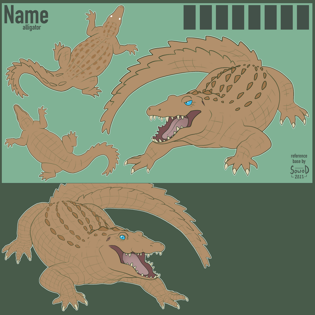 Reference PSD: Alligator