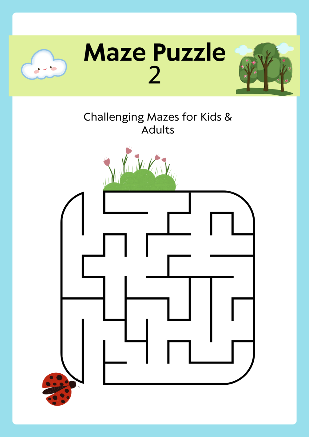 Maze Puzzle Book 2, Challenging Mazes for Kids & Adults