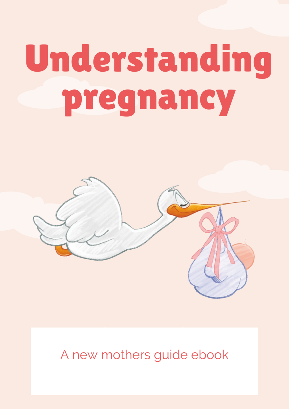 Understanding Pregnancy