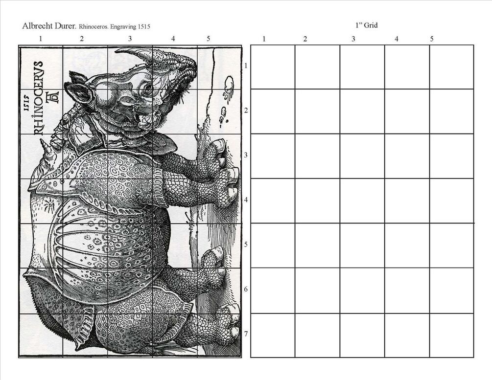 Grid Drawing - for new artist, homeschoolers