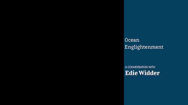 Video - Ocean Enlightenment - A conversation with Edie Widder