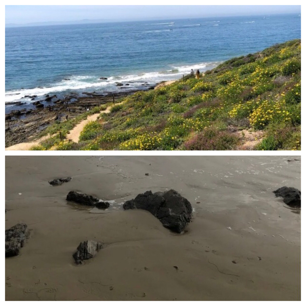 Free Digital Sampler – Poems from Sage and Stones and Sand