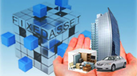 Fixed Asset Pro.16
