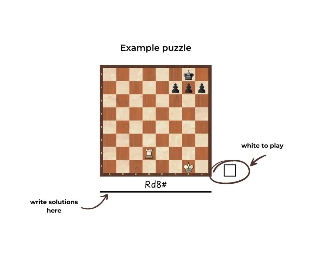 100 Mate in One Chess Puzzle Book