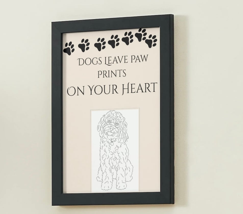 Cavapoo dogs leave foot prints on your heart