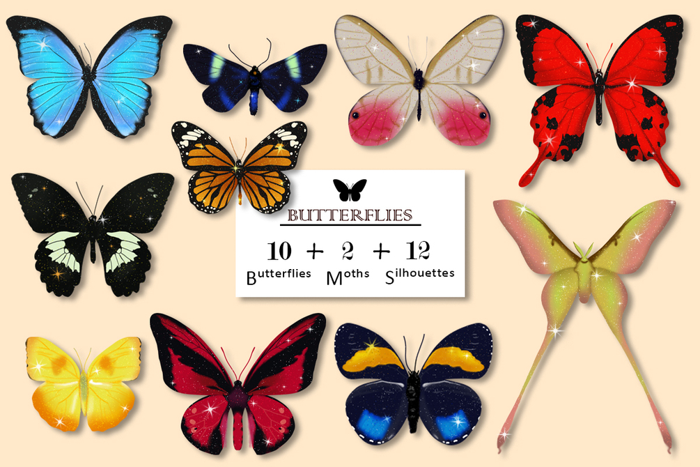 Butterflies Bundle