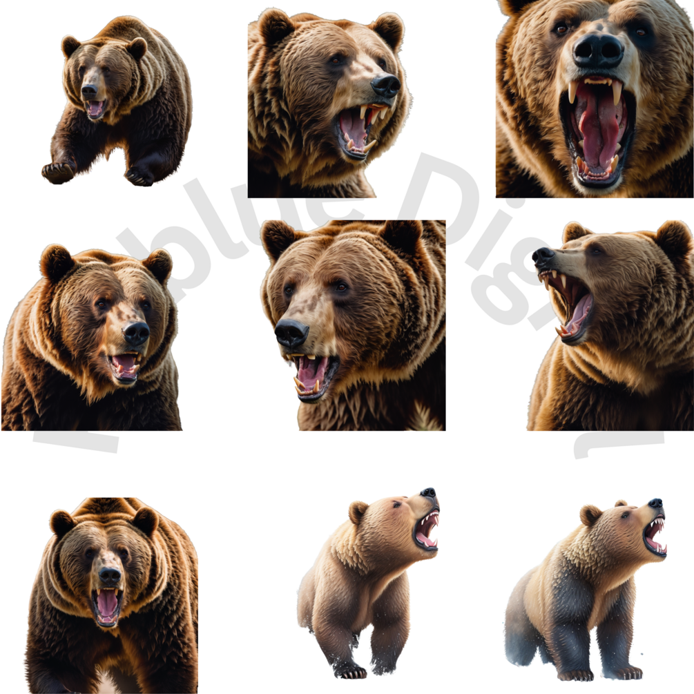 Roaring Bear Clip Art With Transparent Background | Digital Download ...
