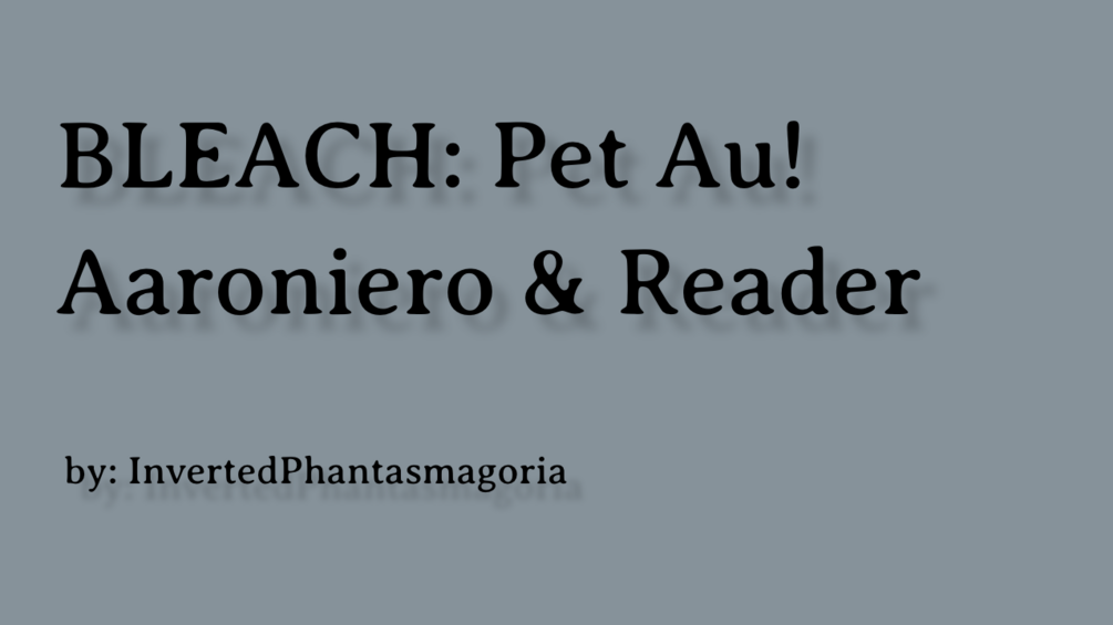 BLEACH: Pet Au!Aaroniero & Reader