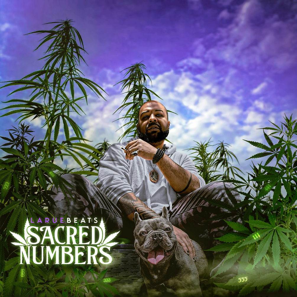 SACRED NUMBERS (grow room II)