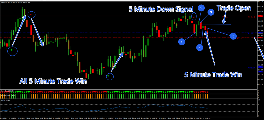 Binary Code V2 (2024) For 5 Minute Trade | 100% Profitable