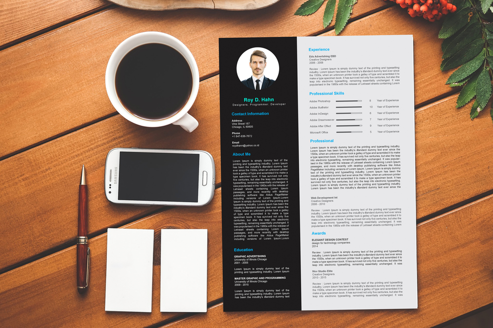 Professional Resume Template in 6 Different Colors Variations (Type 1B)
