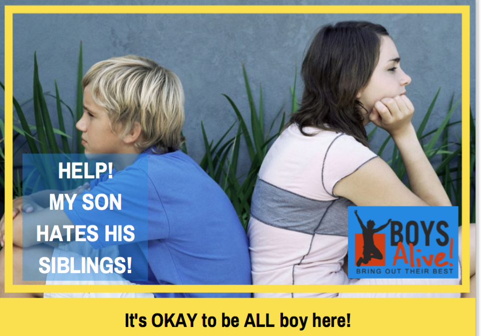 Help! My Son Hates His Siblings!