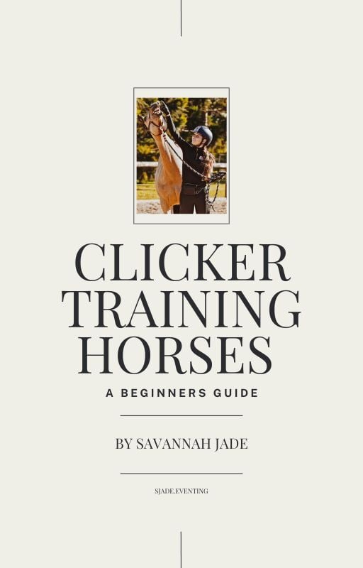 Clicker Training Horses - A Beginners Guide - Savannah Jade