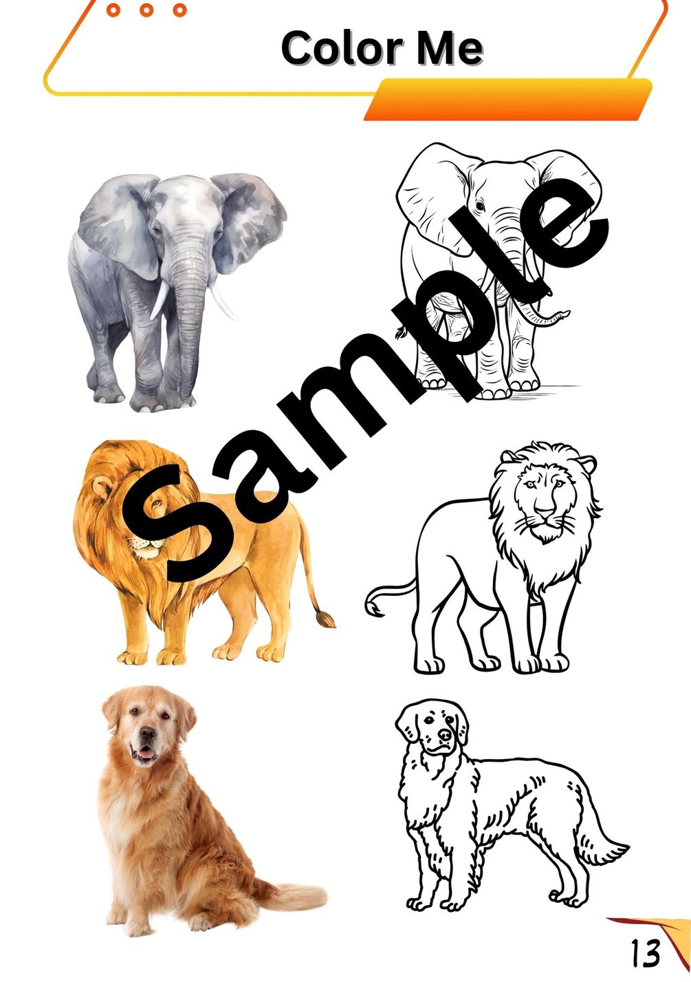 ANIMAL BUSY BOOK