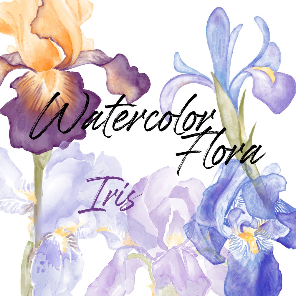 Watercolor Flora: Iris