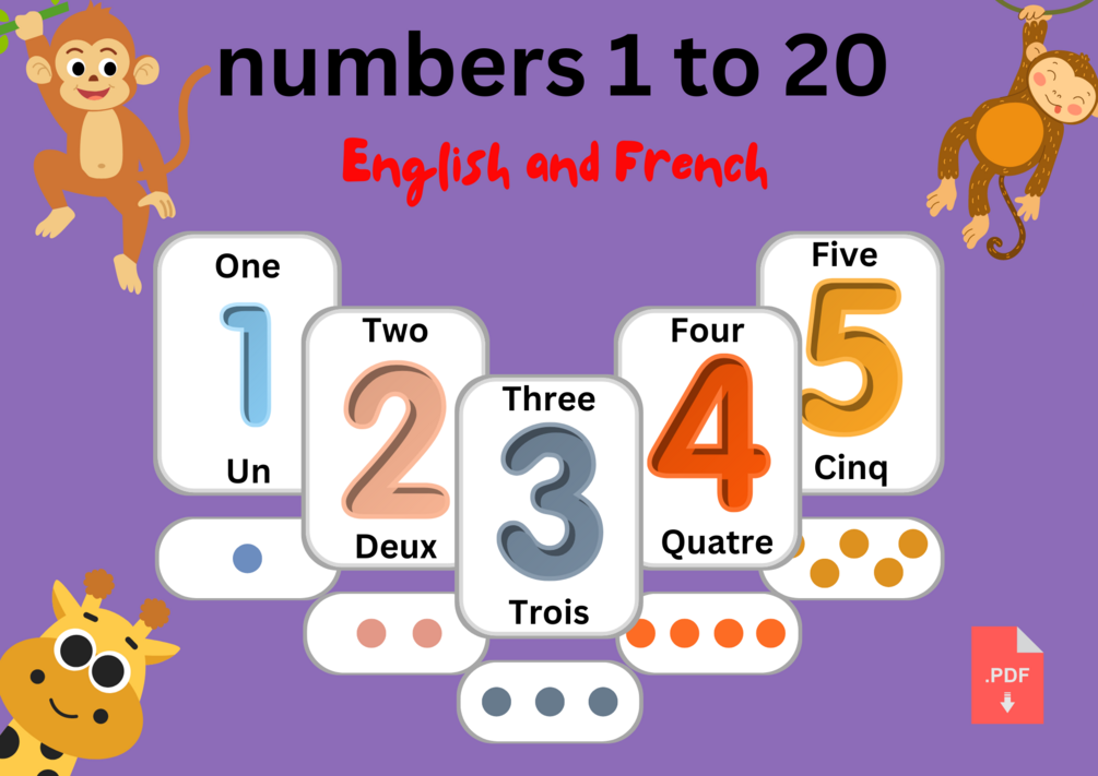 Numbers Flashcards For Kids ( english and french )