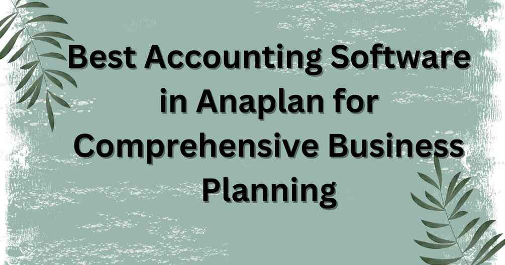 Best Accounting Software in Anaplan for Comprehensive Business Planning