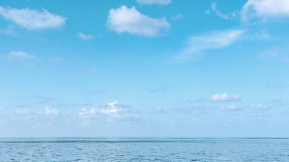 Payment to Karl Drinkwater