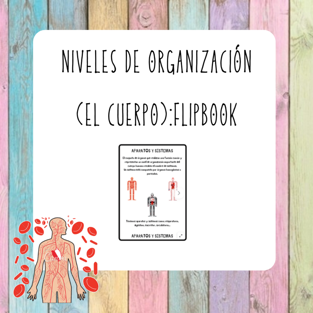 Flipbook niveles de organización celular: gallego y castellano