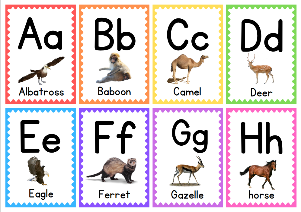 Animal Alphabet Cards Realistic Upgrade
