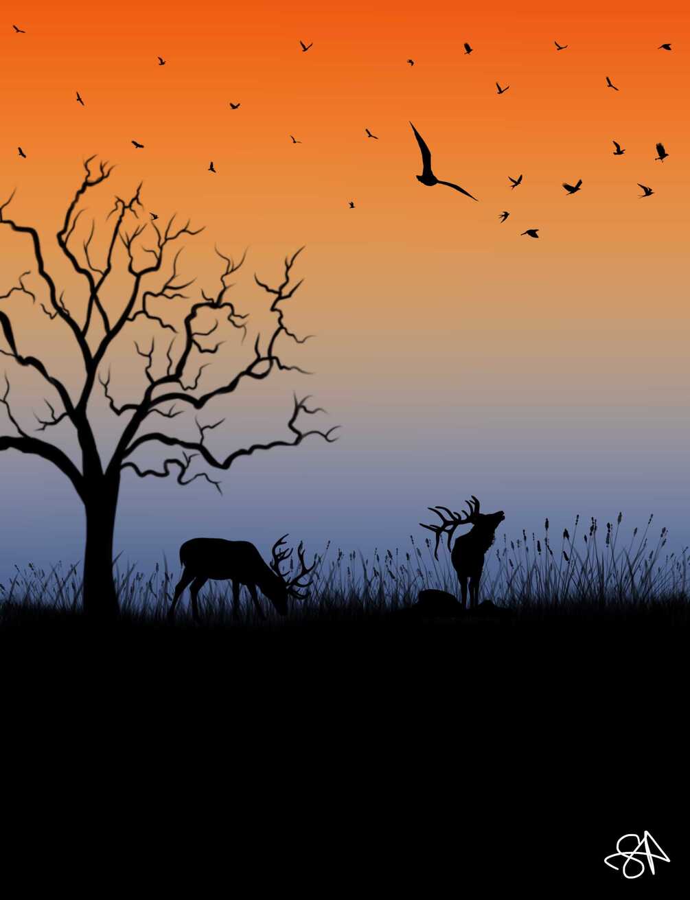 Twilight Tranquility