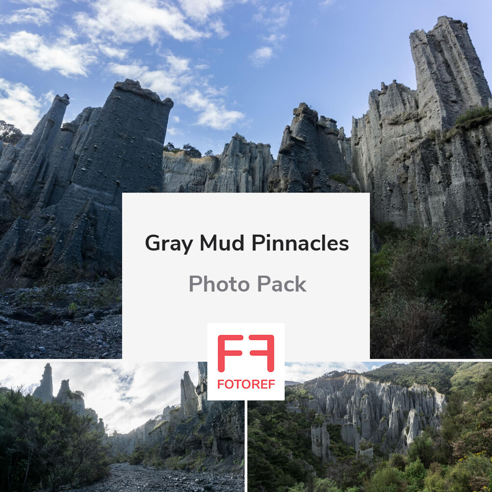 255 photos of Gray Mud Pinnacles
