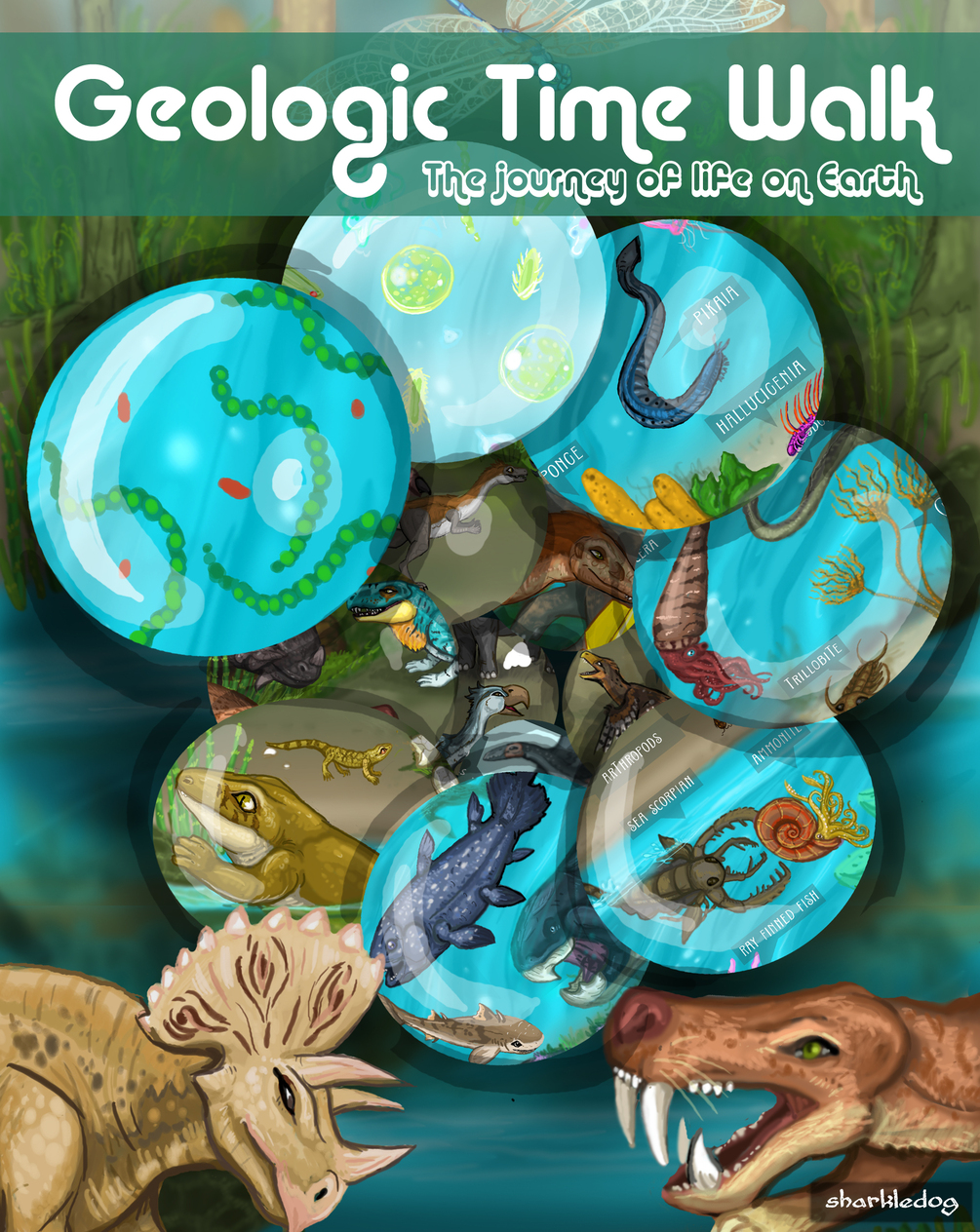 Geologic Time Walk - The Journey Of Life On Earth