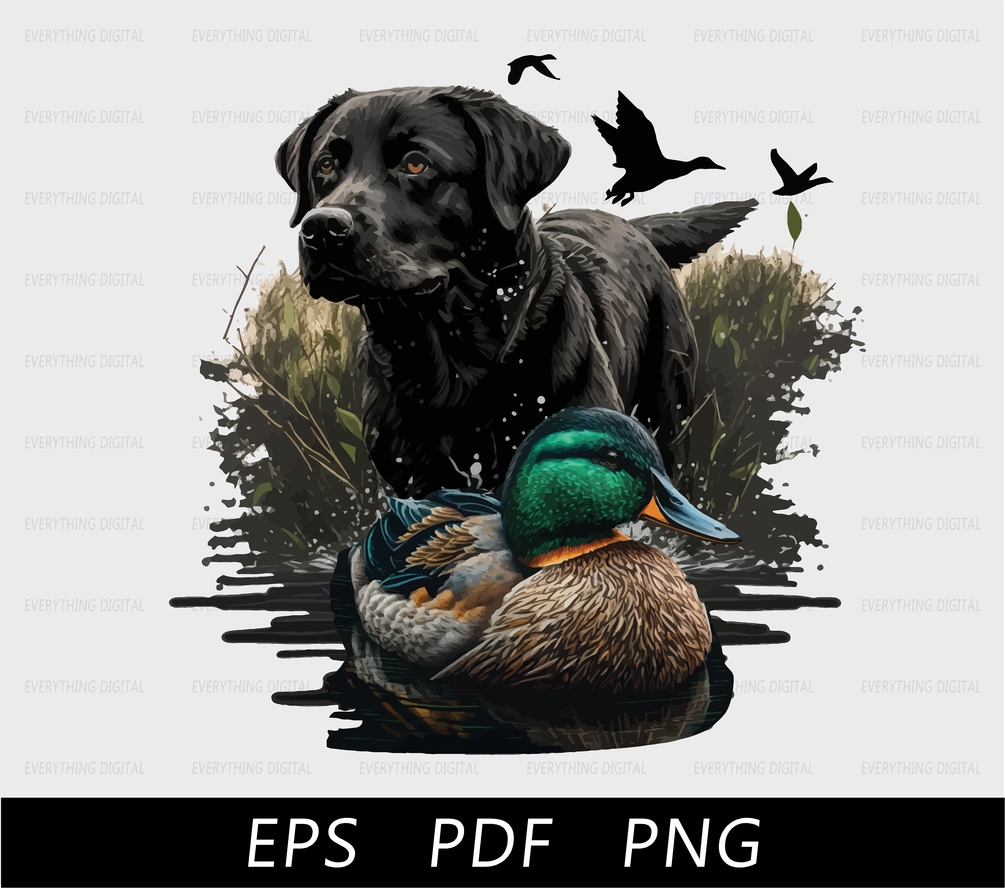 Lab retriever, duck dog, Duck hunting, mallard duck hunter, waterfowl ...