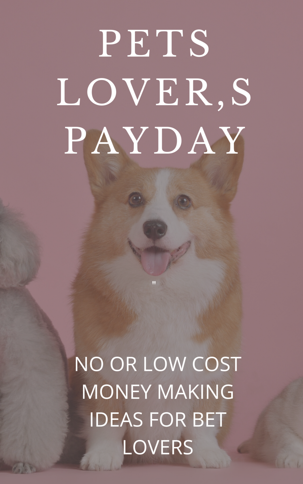 PETS LOVER"S PAYDAY