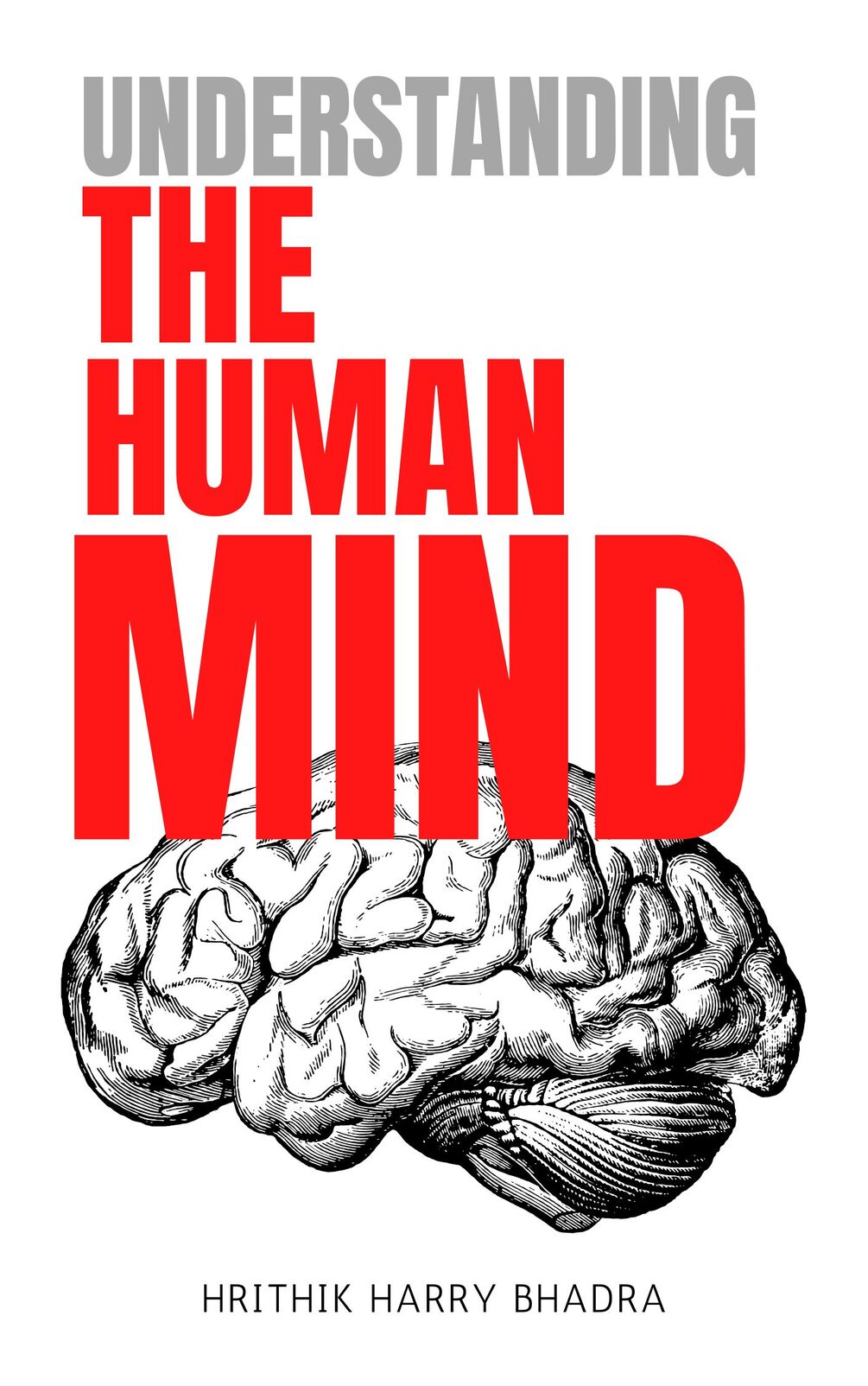 Understanding The Human Mind