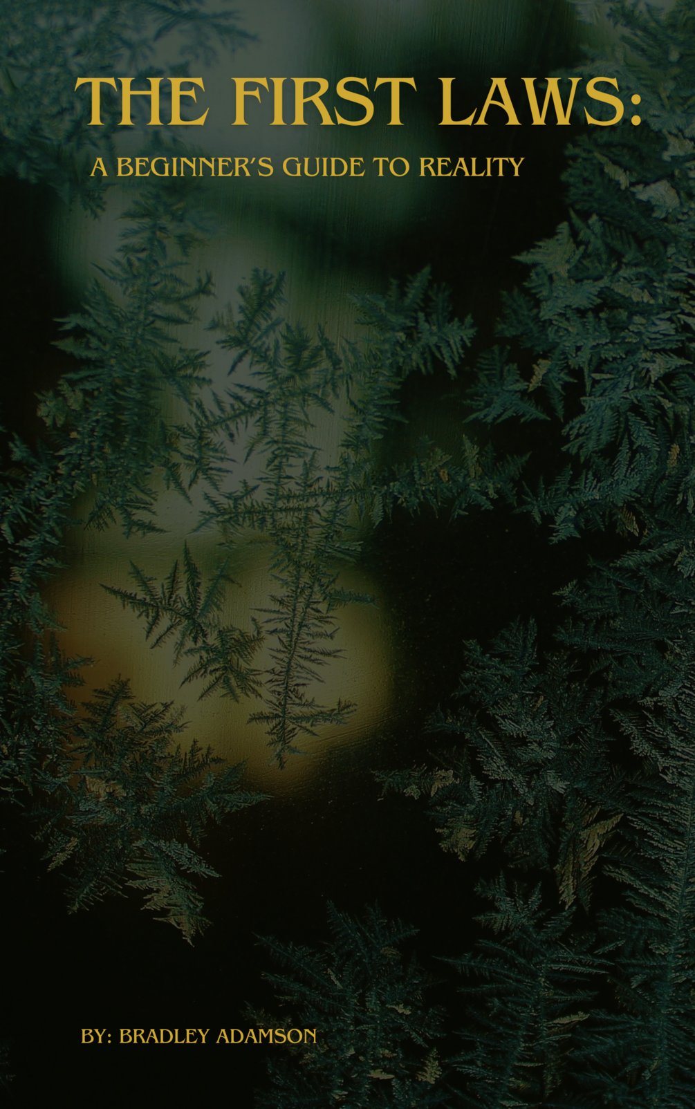 The First Laws: A Beginner’s Guide to Reality