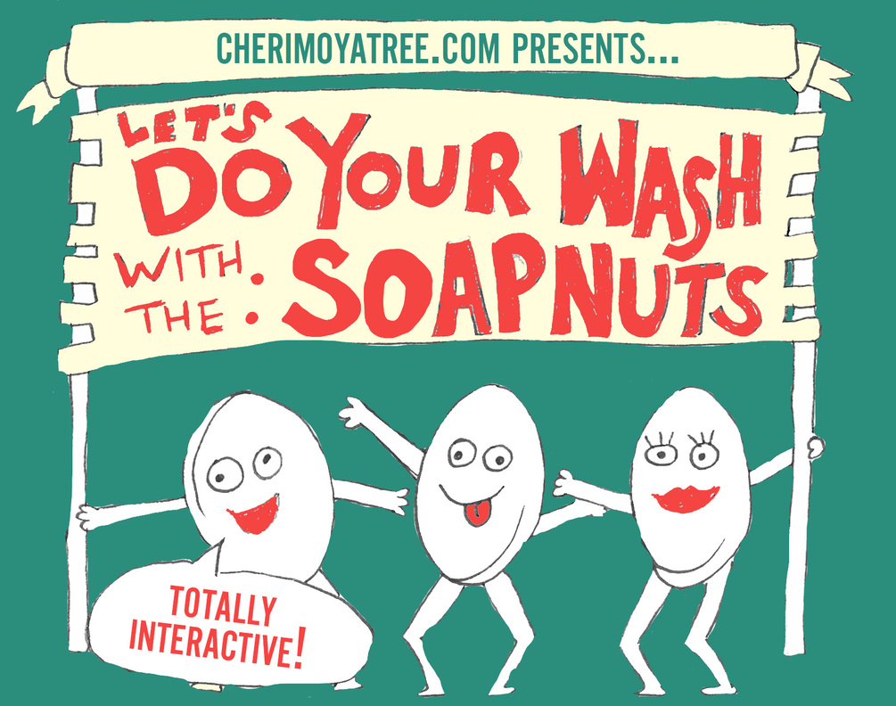 Soap Nuts Interactive EPUB: a Digital ezine
