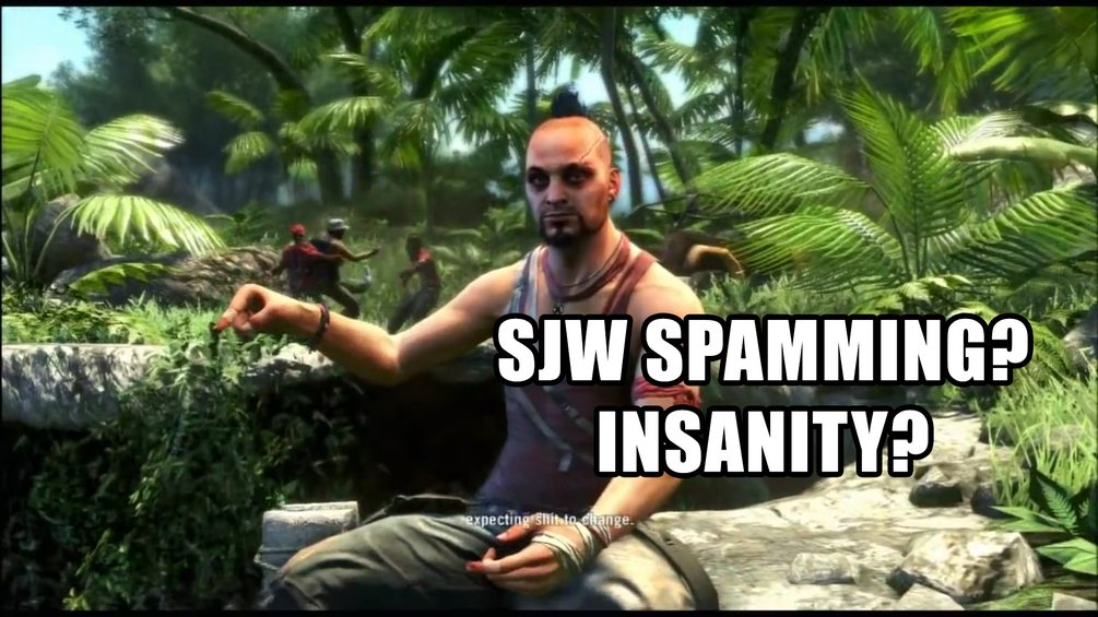 Vaas teach SJW about the Definition of Insanity