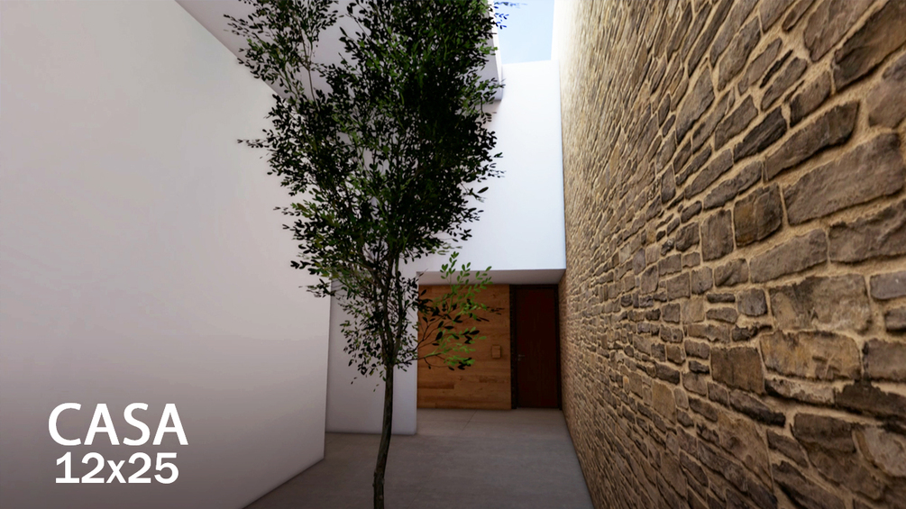 Planos de Casa 12X25 metros dos plantas